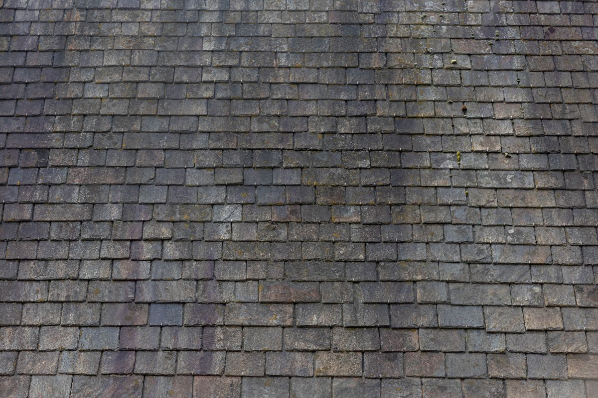 Roof Stains and Black Streaks: How to Remove Them Safely